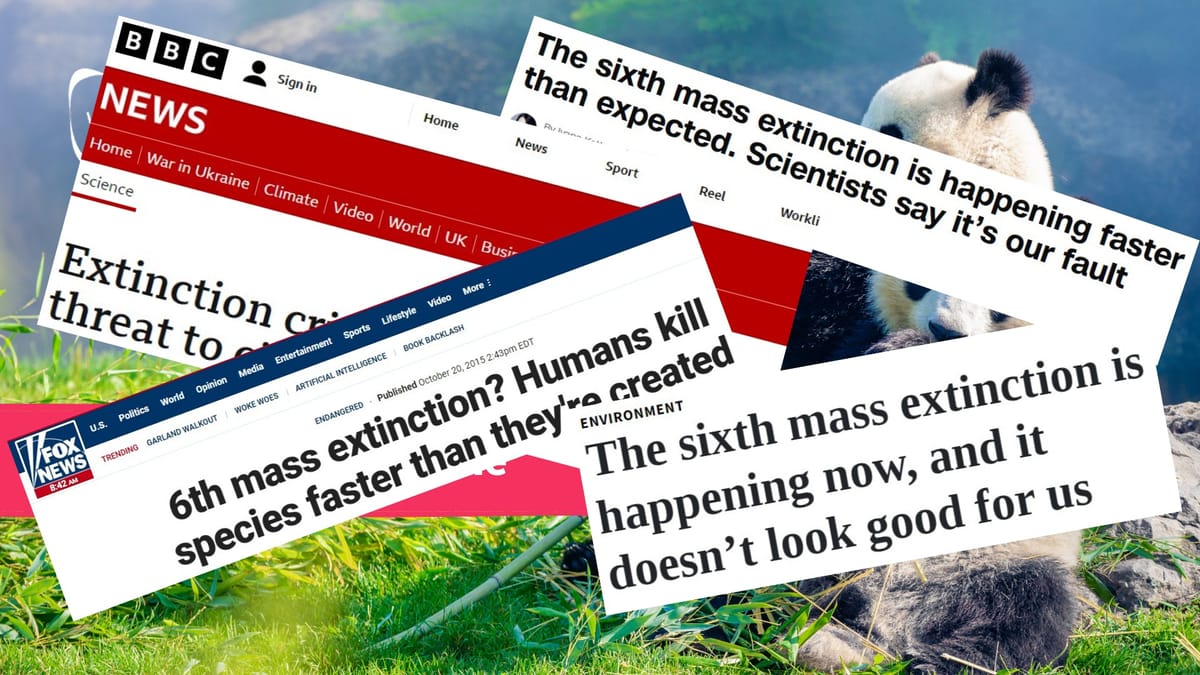 🔎 This is why we investigate the sixth mass extinction