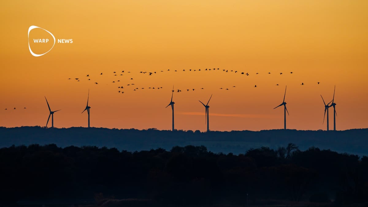 🐦 Study shows minimal impact of wind turbines on bird populations