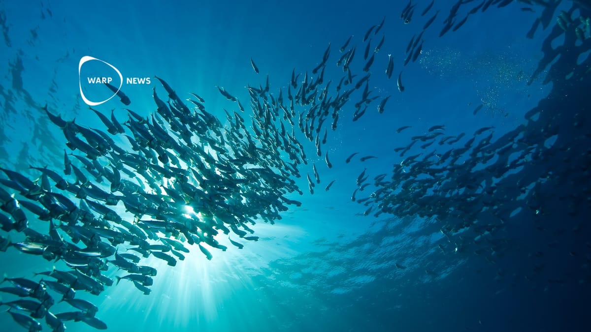 🎣 The list of overfished species in the US has reached an all-time low