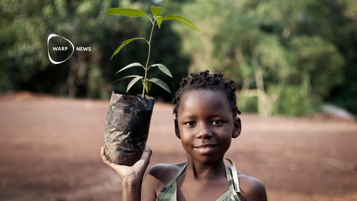 🌳 100 million trees to be planted in Africa to reduce carbon dioxide in ...
