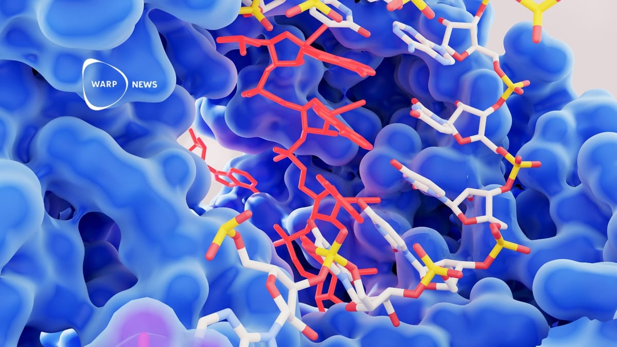 🧪 Researchers reveal the secret behind the catalytic power of enzymes