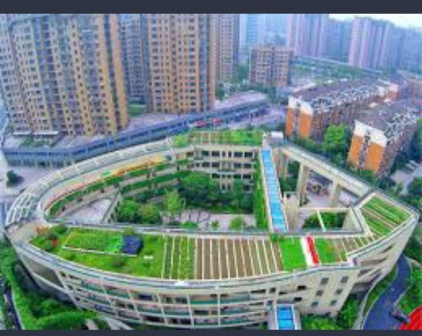 🌆 African dream of "smart cities" remains strong